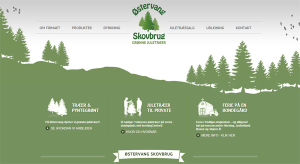 TOP 10 TRENDS FOR WEBSITE DESIGNING IN 2021 | Om Soft Solution